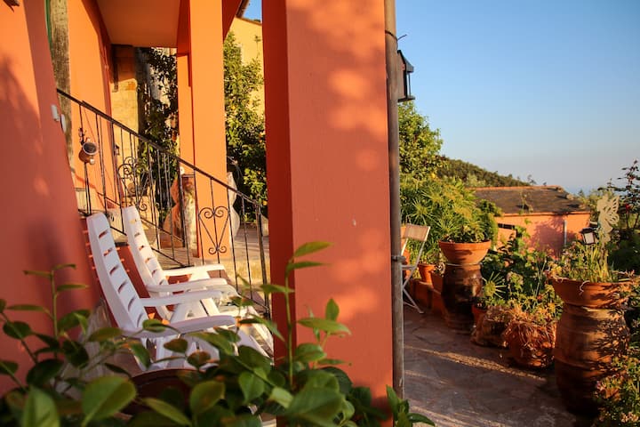 La Notte Sull'isola - Giardino - Bonassola