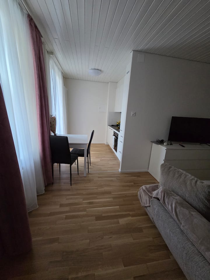 Modern And Central! - Bâle
