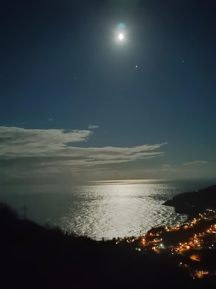 Opera Bungalov 2 - Ordu