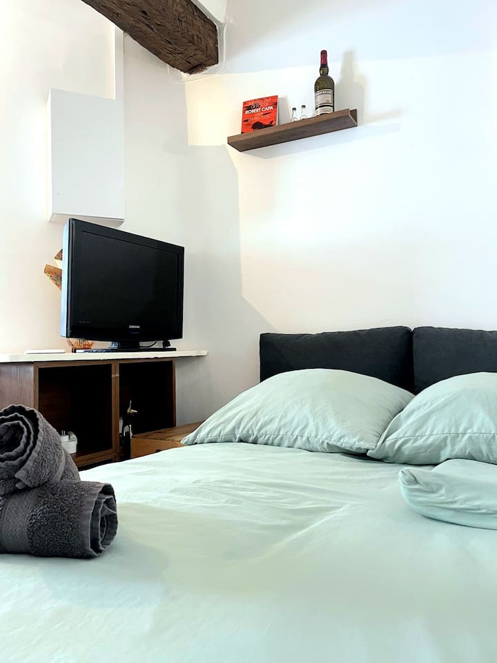 >Clim< Studio Cosy Hyper-centre - Grenoble