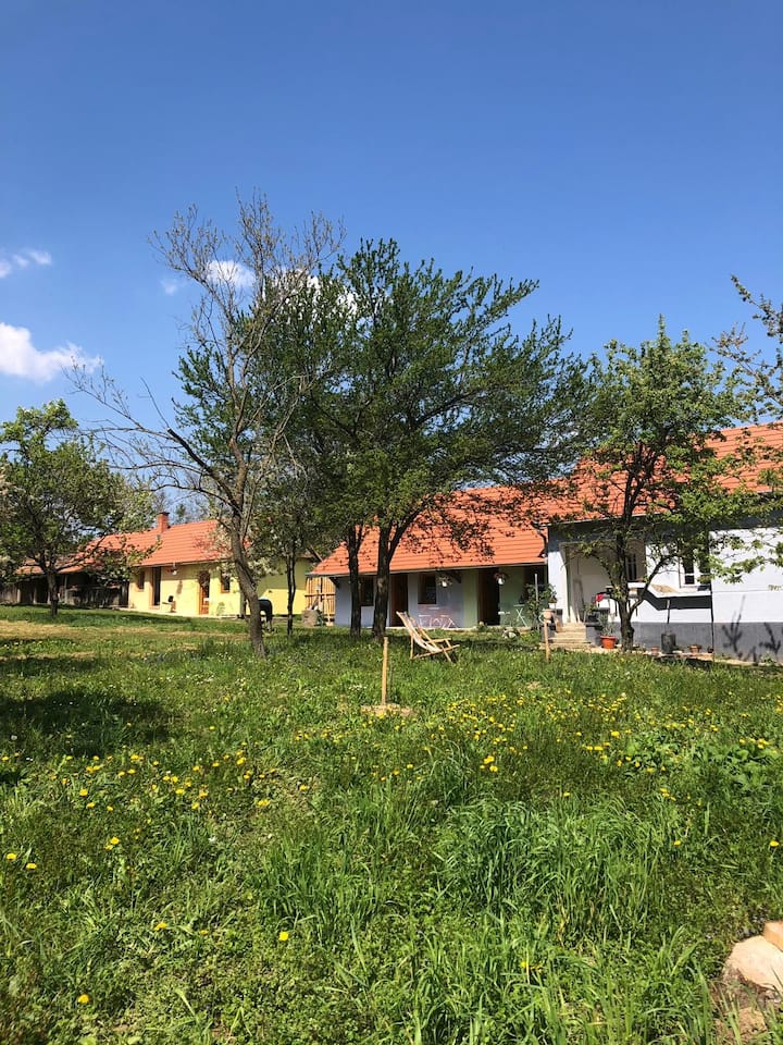 Ferienwohnung:
Natur-idylle Mit Badesee - Lenti
