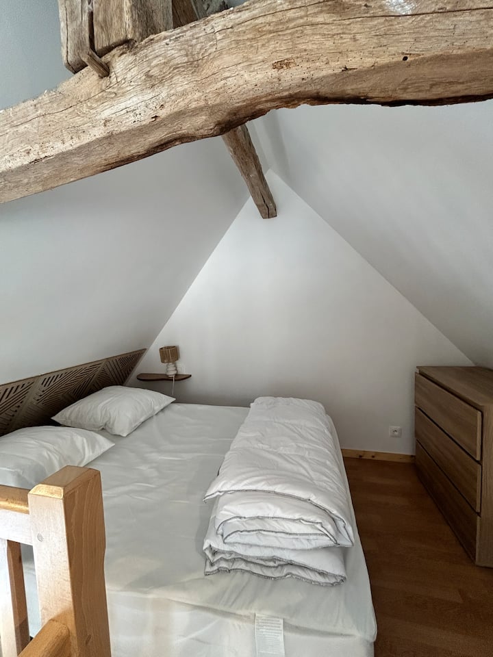 Maison Mitoyenne à La Campagne - Le Blanc