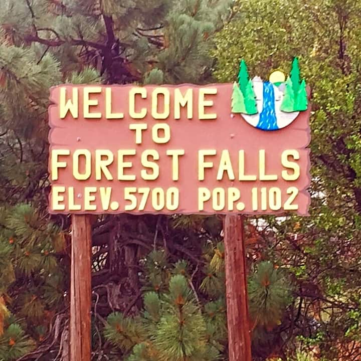 Zcabin - Forest Falls, CA