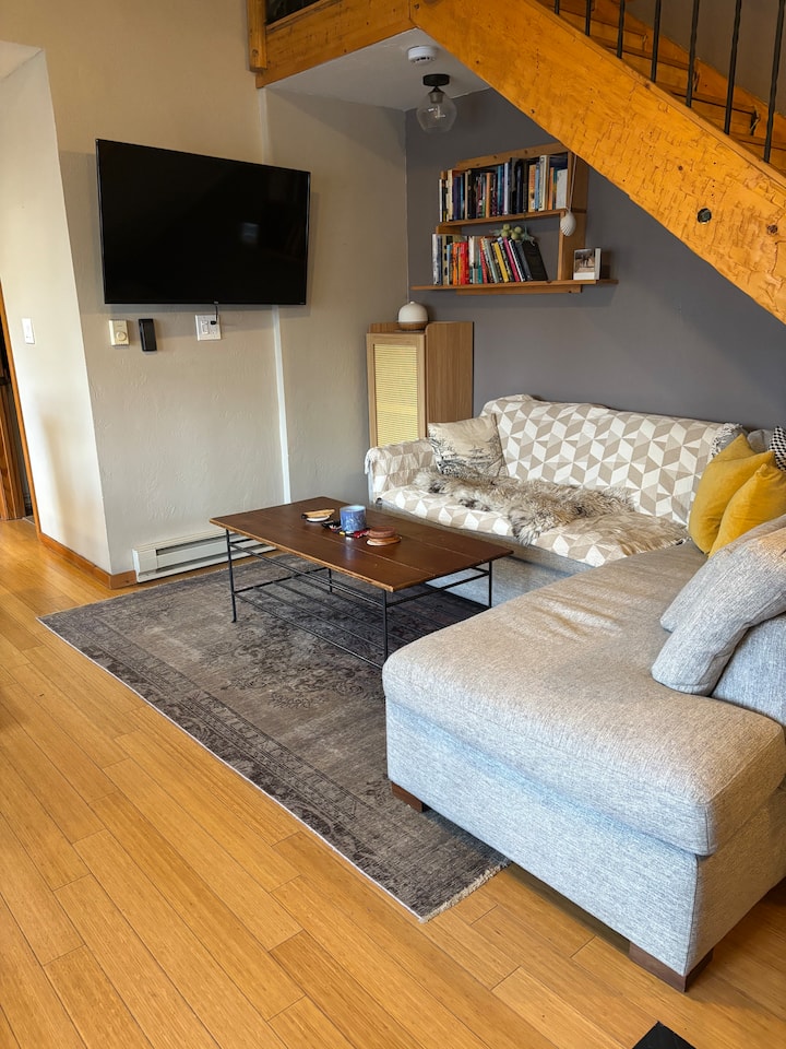 Cozy Condo In Downtown Crested Butte - Crested Butte, CO