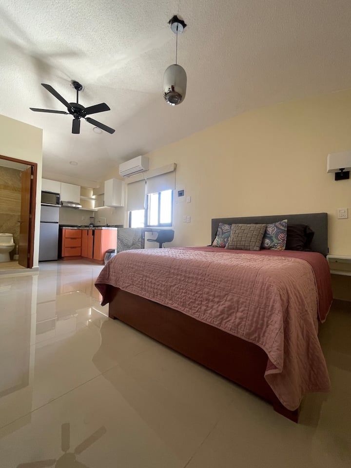 L5 Zonadorada Excelenteubicacion - Mazatlán