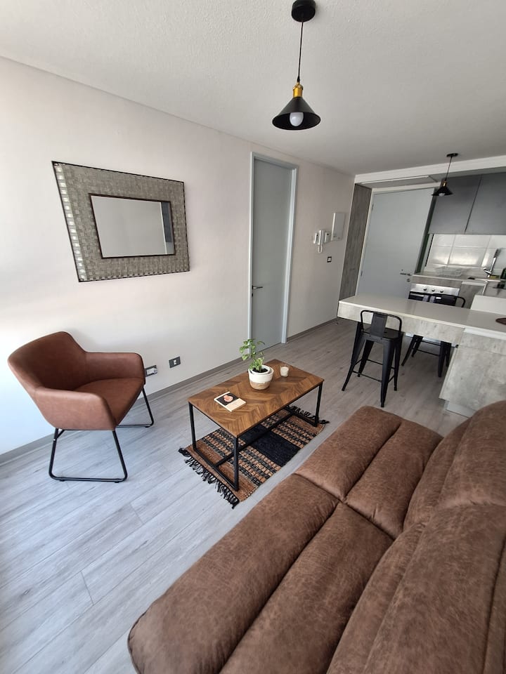 Arriendo Diario En Santiago - Santiago