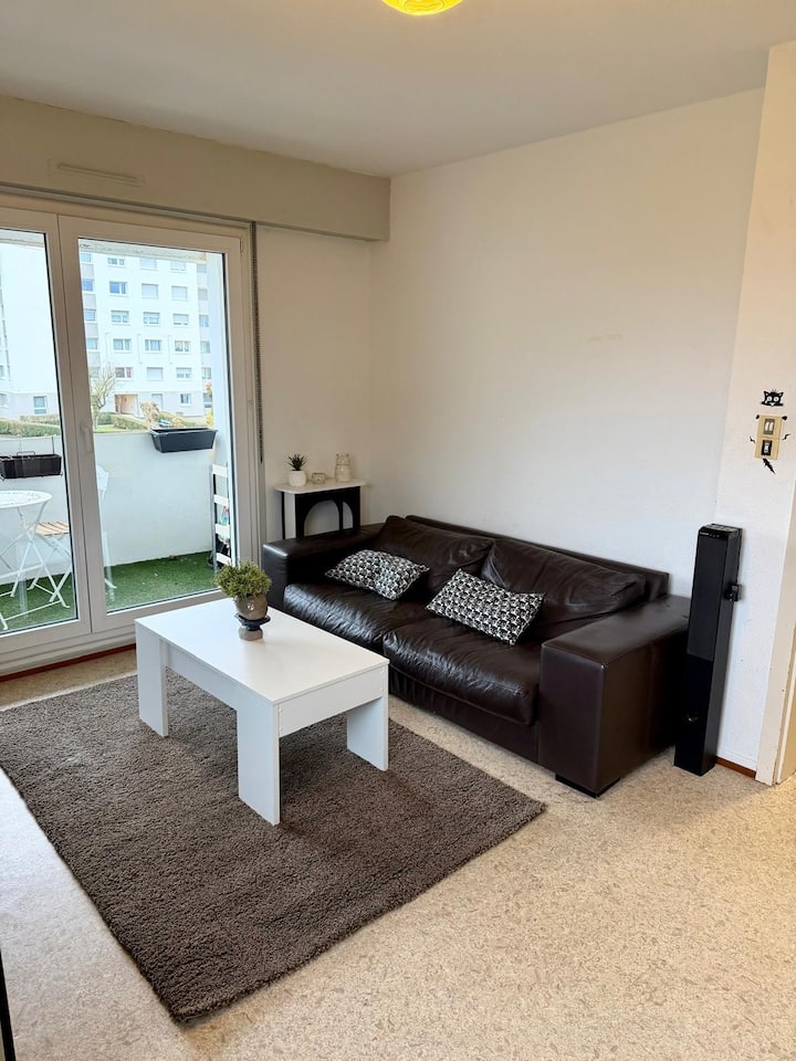 Appartement - Sarrebourg