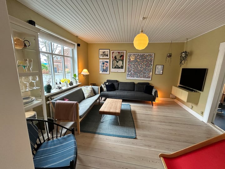 Dejligt Stort Hus I Odense City - Odense