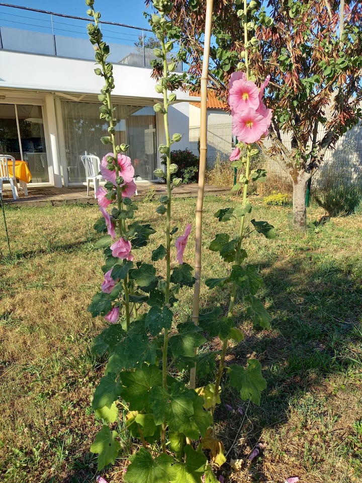 Maison De Vacances Pour Escapade Familiale - Fouras