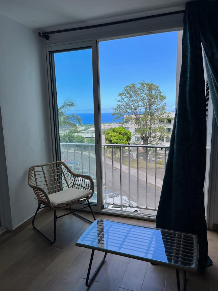 T2 Malin - Saint-Denis