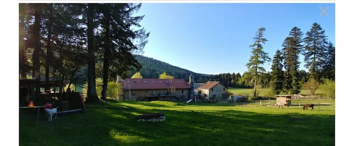 Magnifique Maison De Campagne - Cuiseaux