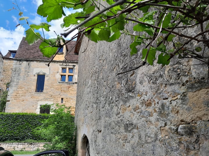 Havre De Paix En Dordogne - Le Bugue