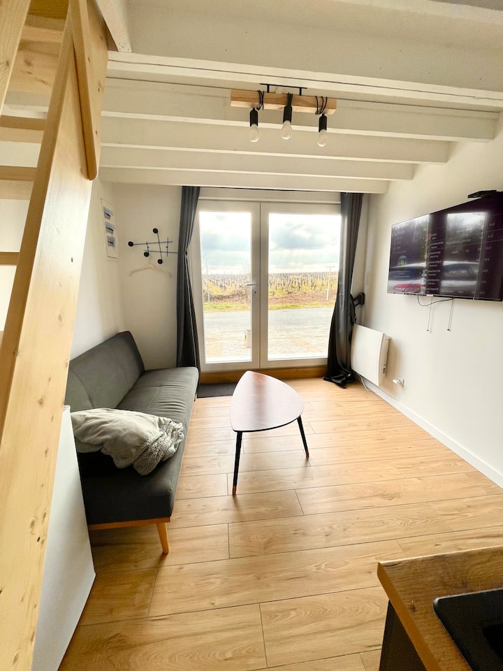Charmant Studio En Duplex Vertou Avec Jolie Vue - Vertou