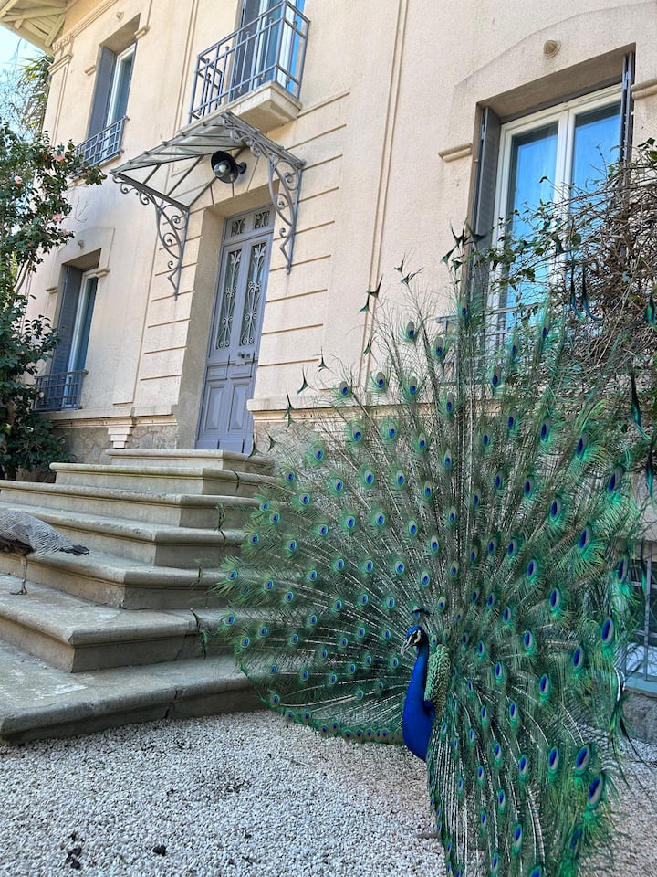 Maison De Charme Et De Caractère , Centre Ville - Saint-Tropez