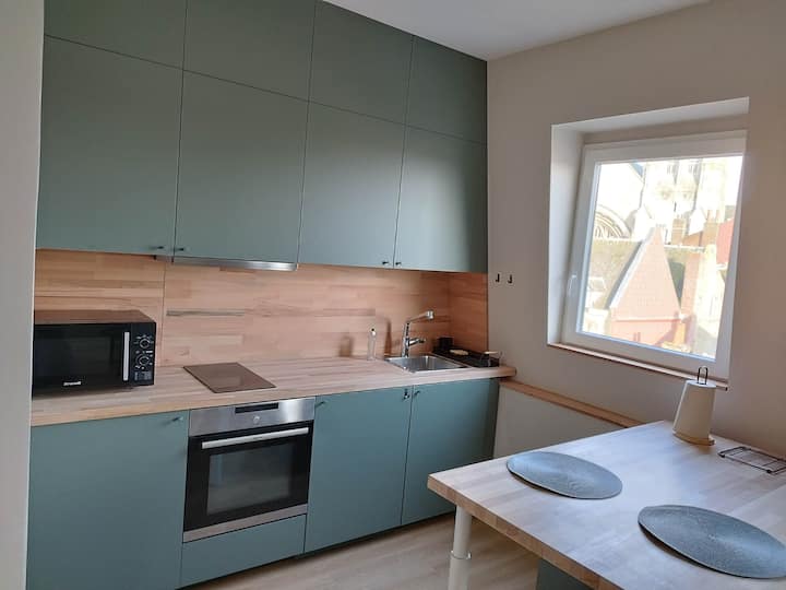 Appartement T2 Standing - Le Musée des Beaux-Arts d'Arras