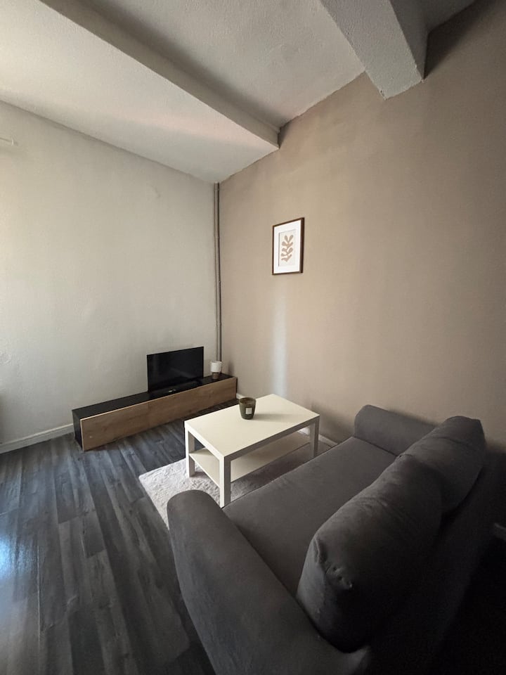 Appartement Rénové Coeur Centre Historique - Béziers