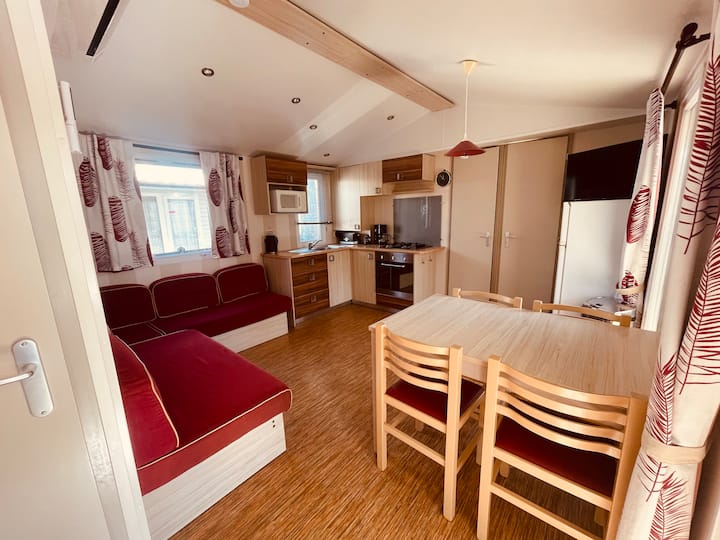 À L’ombre De L’eucalyptus - Valras-Plage