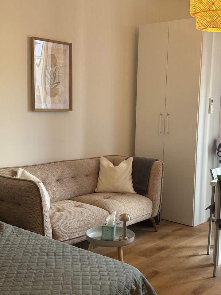 Monolocale " Sette Palme" Nel Cuore Della Città - Vintimille