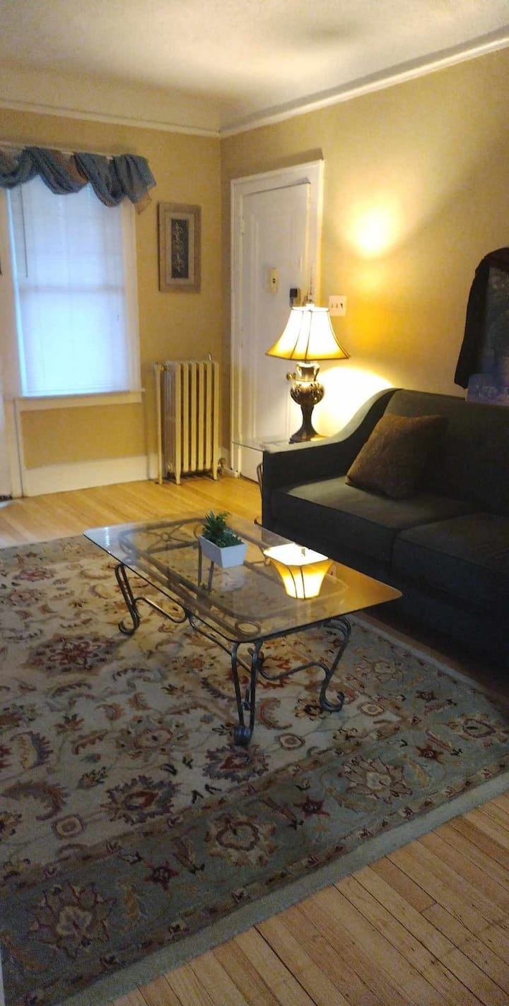 Fully Furnished Short Stay 1e 12min From Downtown - Détroit, MI