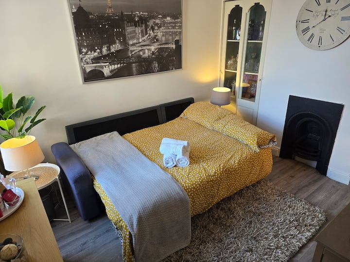 1 X Lounge /Sofa Bed Large Room Southsea - 南海城