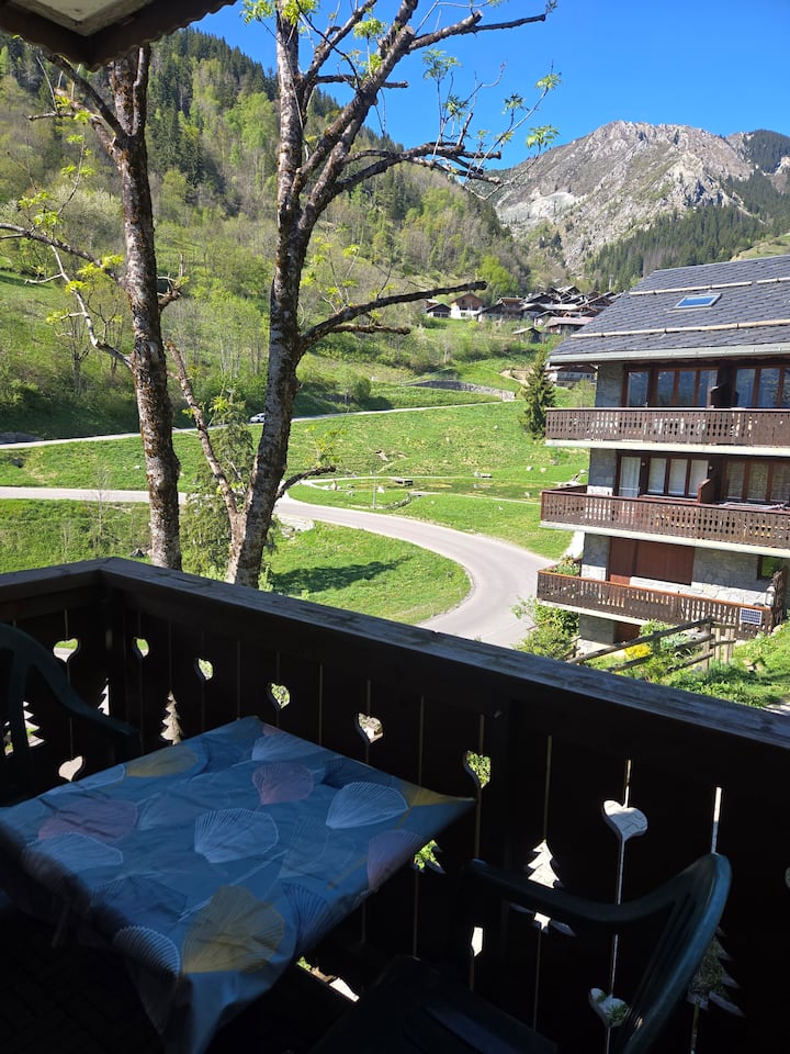 Appartement En Vanoise 2 Personnes - Courchevel Le Praz, France