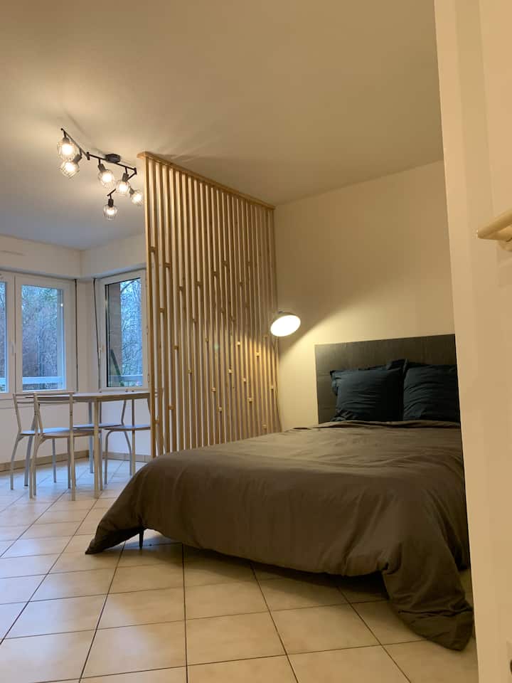 Studio, Proche Centre-ville - Gap