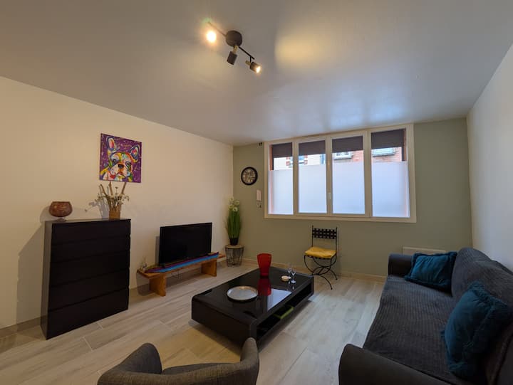 Appartement T2 Centre-ville - Toulouse