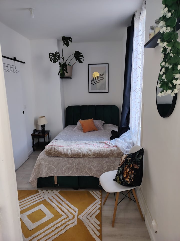 Confort à Lille Hôpital Métro Proche-sdb Privative - Lille