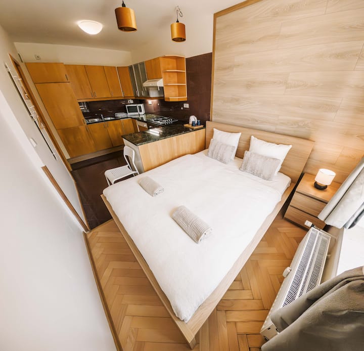 Beautiful Room Near Main Train Station! [R-a] - Praha