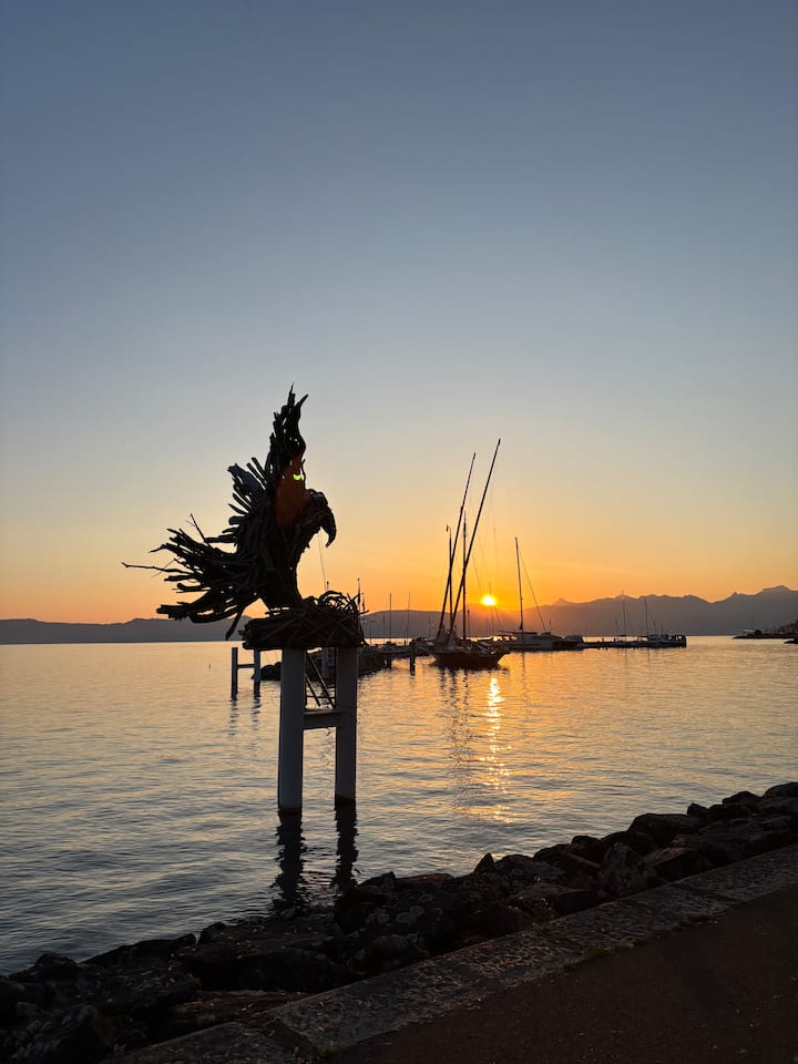 Rive Gauche - Évian-les-Bains