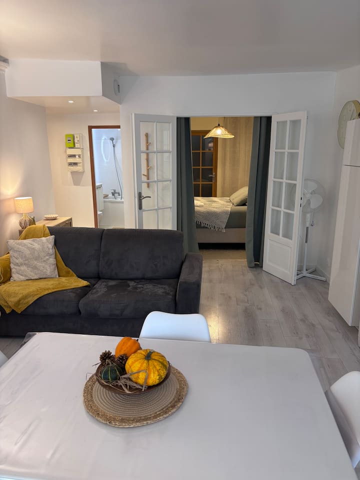 Rive Gauche 4* Confort Et Détente Au Bord Du Lac - Évian-les-Bains