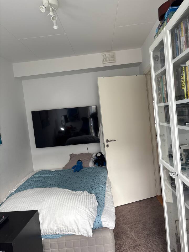 Lägenhet Med Vacker Ljus I Centrala Göteborg - Gothenburg