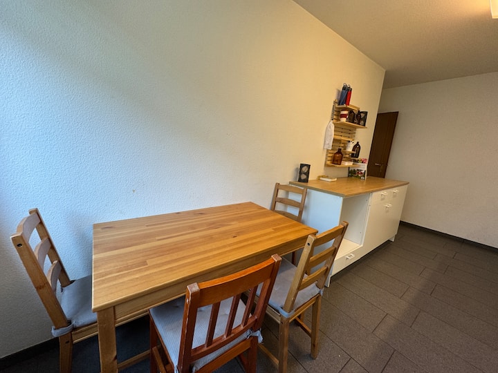 Spacious 5 Room Apartment Center Ideal For Groups - Basilea