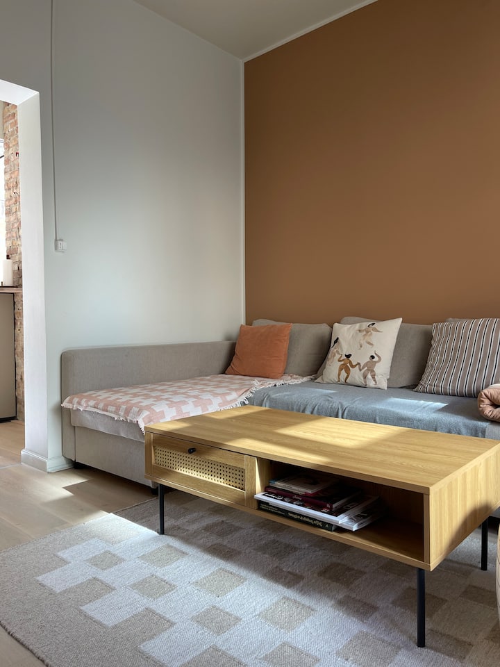 Nice Flat In Central Copenhagen - Copenhague