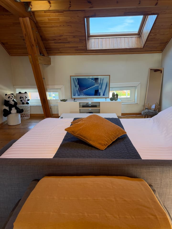 Loft Chaleureux - Le Chalet Montois - Mons