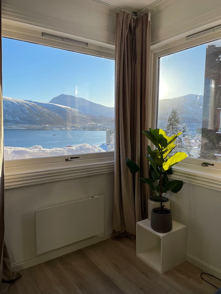 Arctic Aurora Tromsø - Tromsdalen