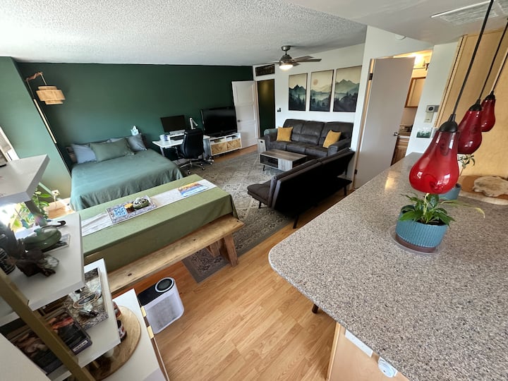 Scenic Walkable Downtown Retreat - Reno, NV