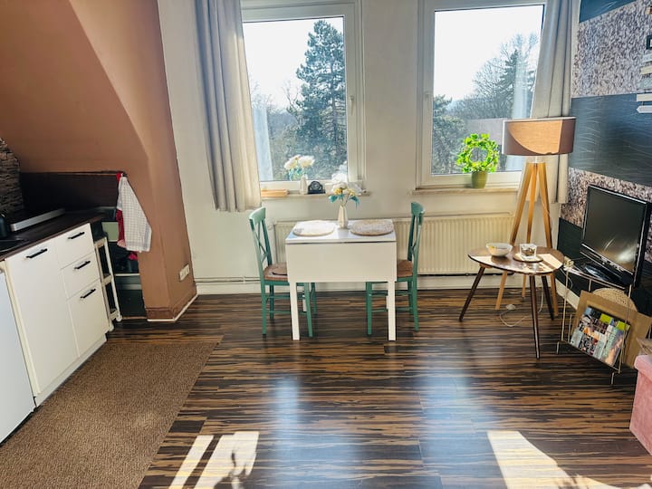 Gemütliche Wohnung Im Zentrum - Hildesheim
