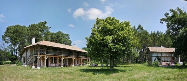 Ensemble De 3 Maisons Landaises. - Mézos