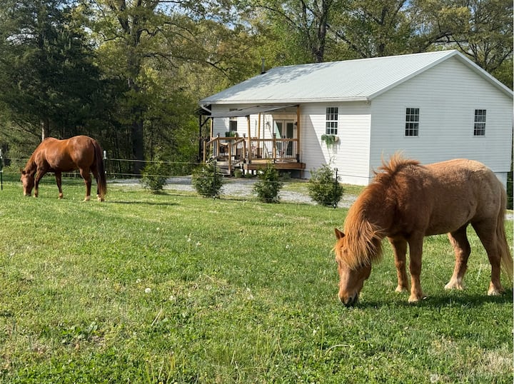 Charming Farm Cottage Near Lake - Fort Loudoun Lake, TN