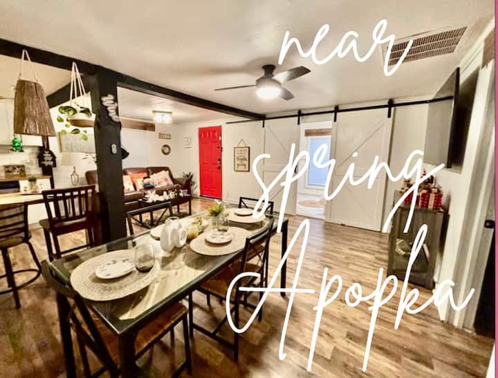 House Near The Springs/disney - Apopka, FL