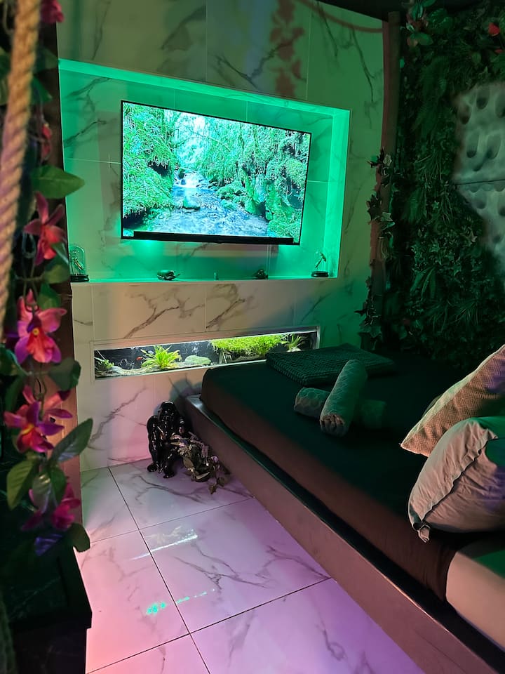 Jungle Suite - Montpellier