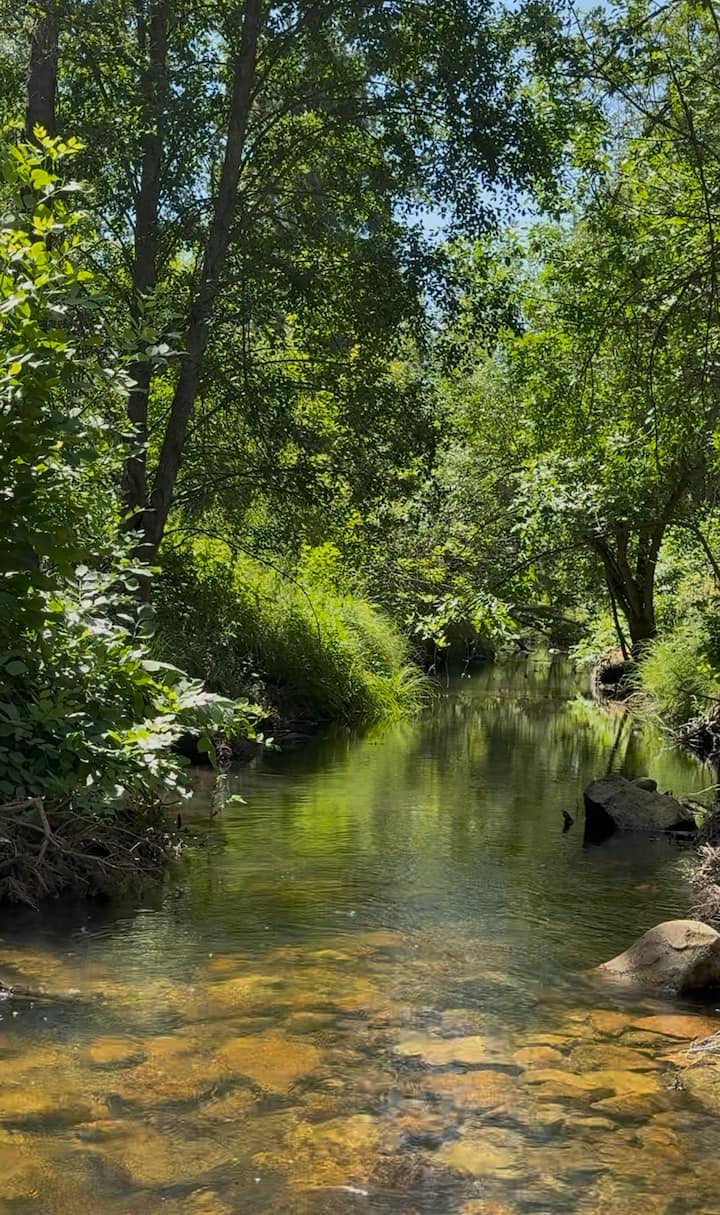 Creekside Dove’s Nest •Yosemite • Snf • Bass Lake - North Fork, CA