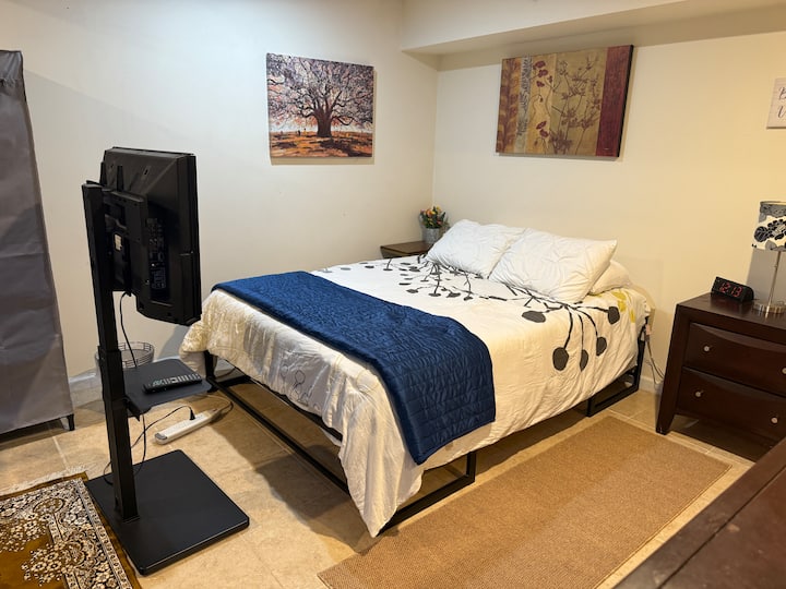 Spacious Basement - Ashburn, VA