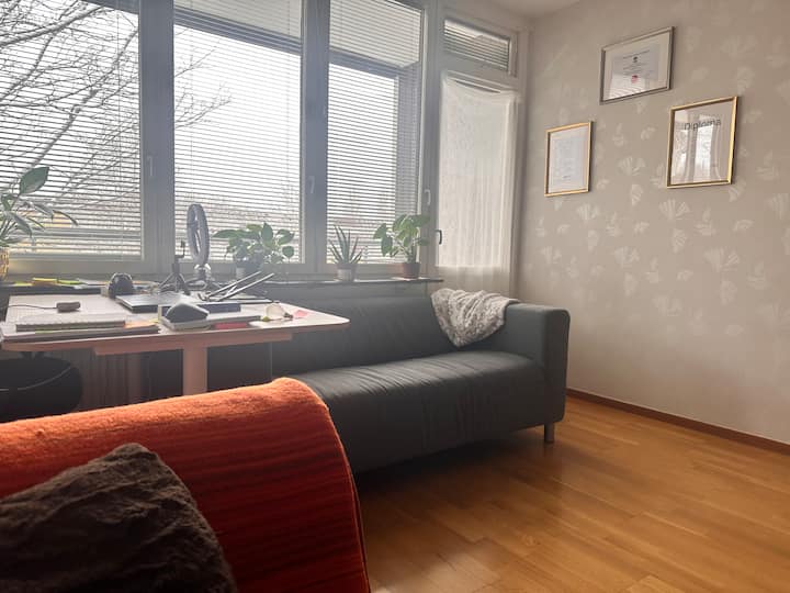 5 Mins From City Centre - Linköping