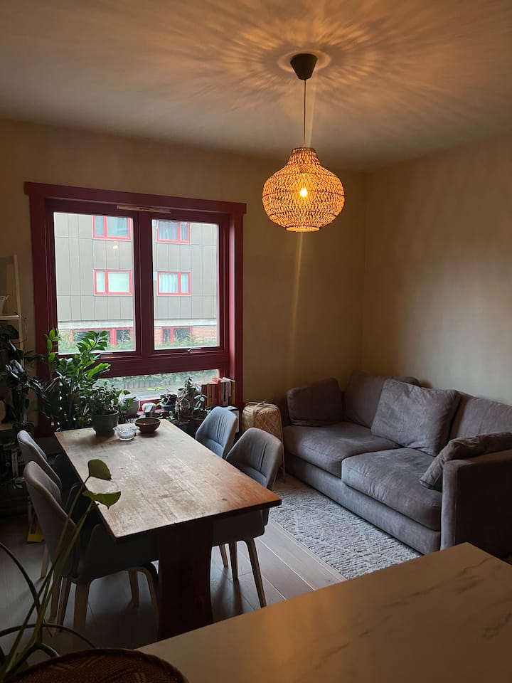 Cozy Central Apartment - Oslo