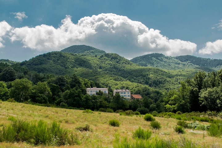 Gîte De Grand Groupe - Céret