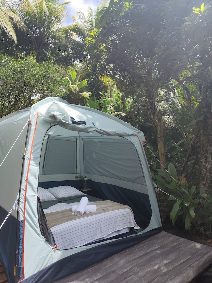 Camping En Pleine Nature - Martinique