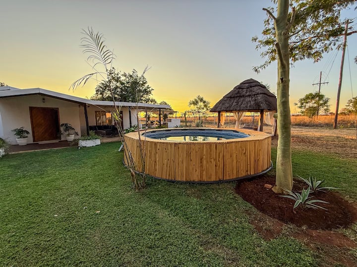 Lemón Phoenix - South Africa