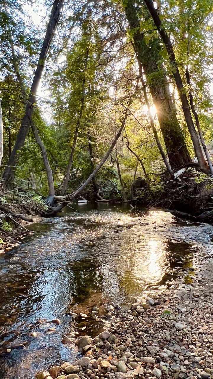Creekside Quail Landing Yosemite • Snf• Bass Lake - Yosemite National Park
